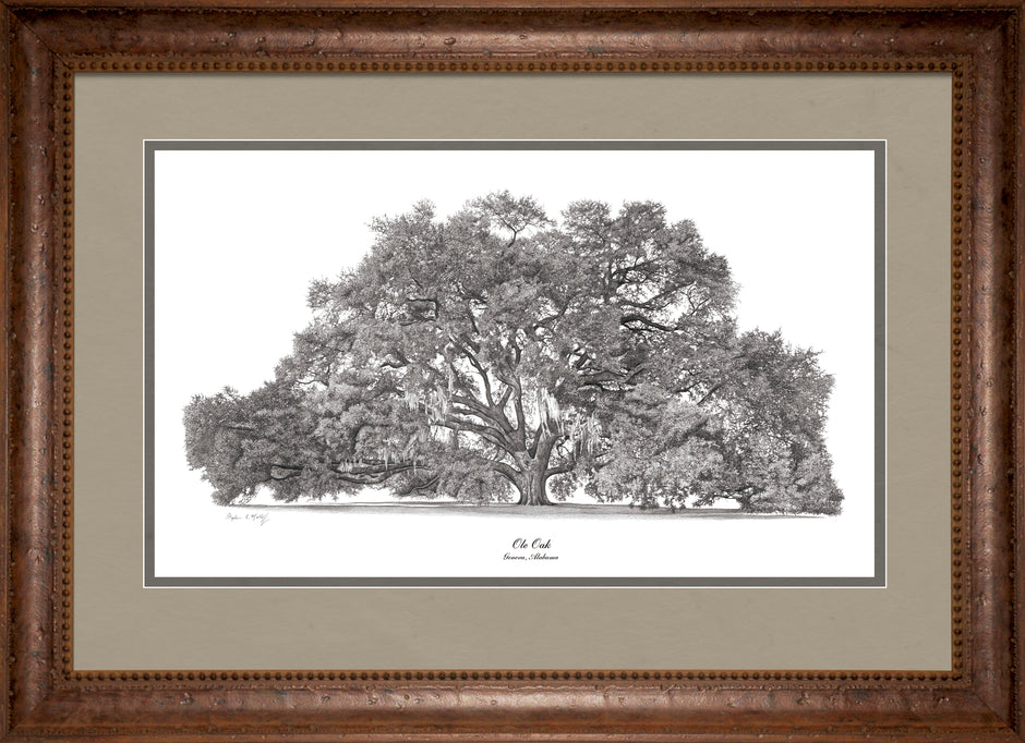 Arboresque Gallery – Malkoff Gallery