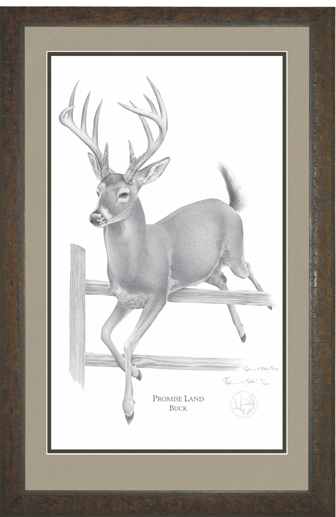 Promise Land Buck – Malkoff Gallery